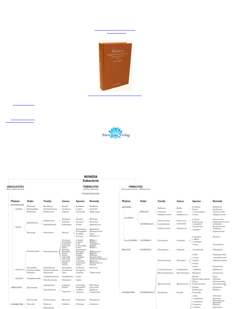Monera Kingdom Bacteria Viruses Frans Vermeulen.01262 1 | PDF ...