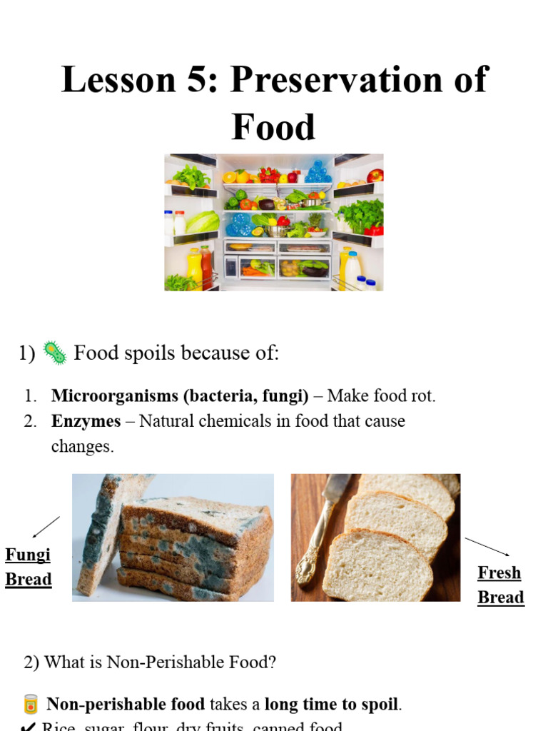 Lesson 5 - Preservation of Food | PDF