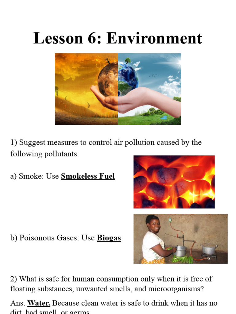Lesson 6_ Environment | PDF | Pollution | Waste