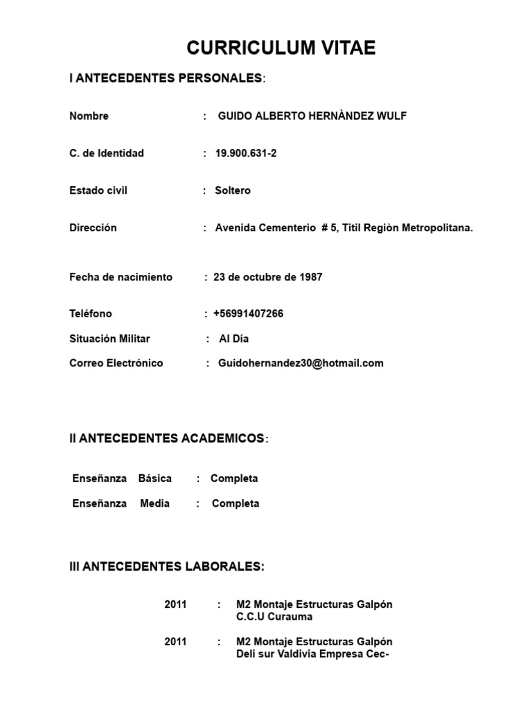 Curriculum Hernandez Wulf | PDF