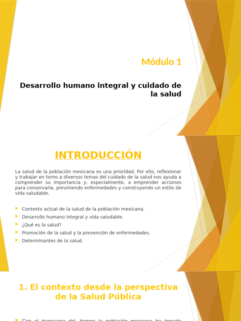 Desarrollo Integral y Cuidado de La Salud | PDF
