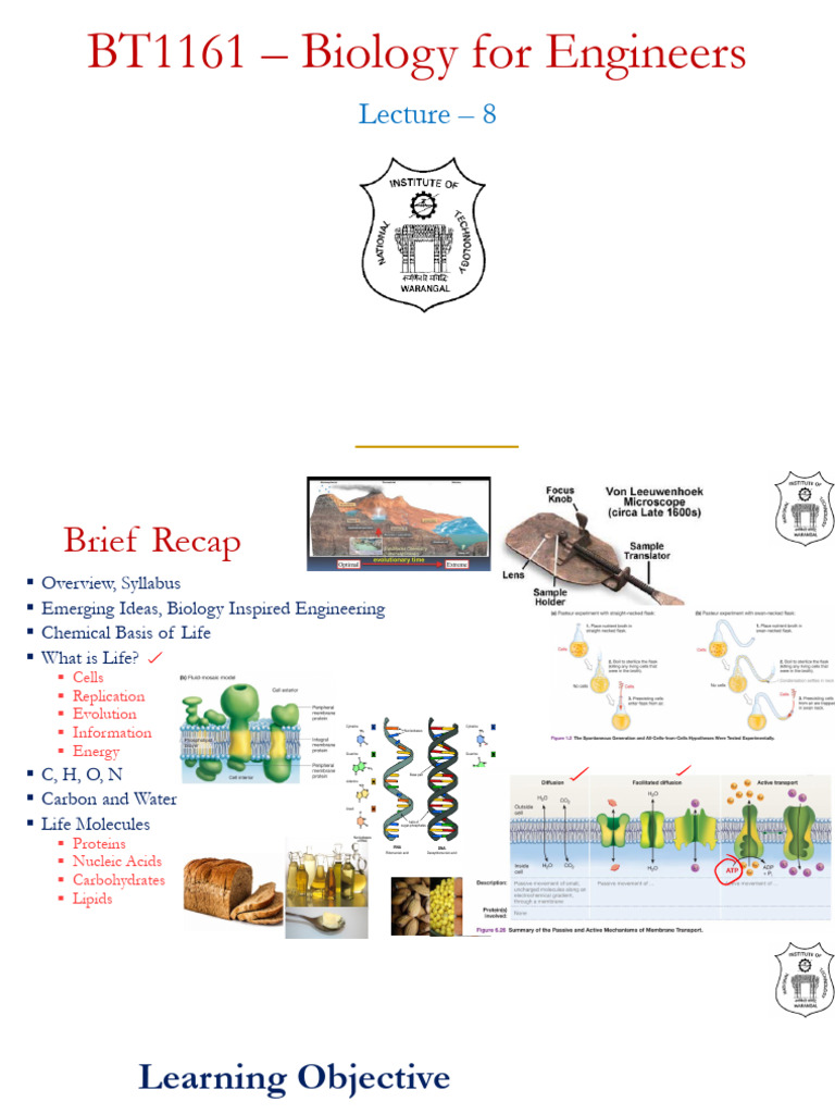 Lecture8_Inside the Cell | PDF | Cell (Biology) | Endoplasmic Reticulum