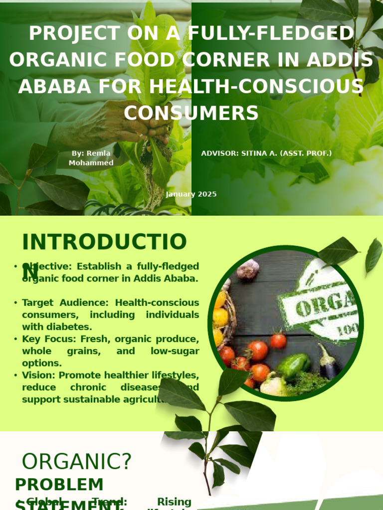 Organic Food Corner Project in Addis Ababa | PDF | Net Present Value ...