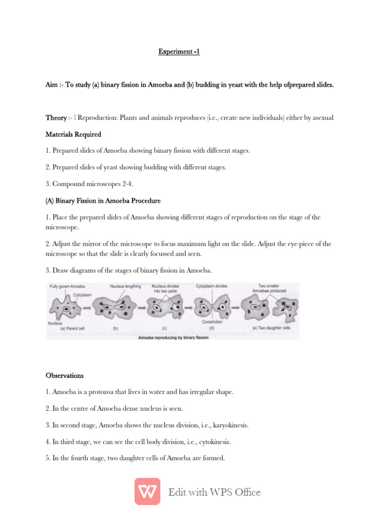 Class 10 Experiment Record | PDF | Sodium Hydroxide | Sodium