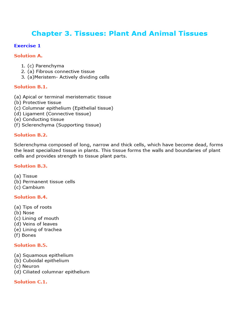 Plant and Animal Tissues Overview | PDF | Tissue (Biology) | Muscle