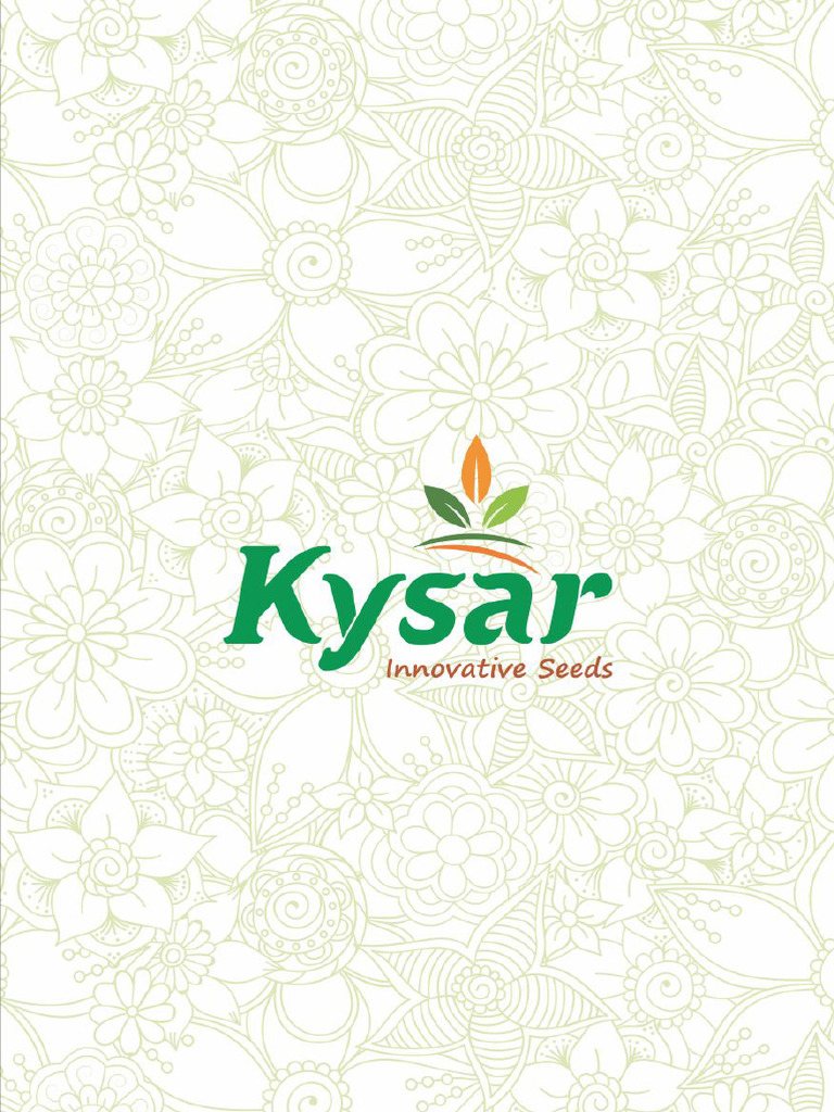Kysar Seeds International India Seed Production | PDF