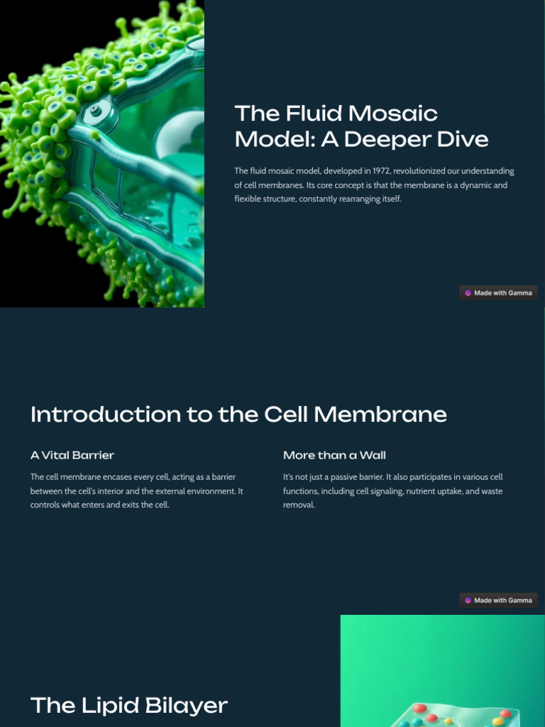 The Fluid Mosaic Model A Deeper Dive | PDF