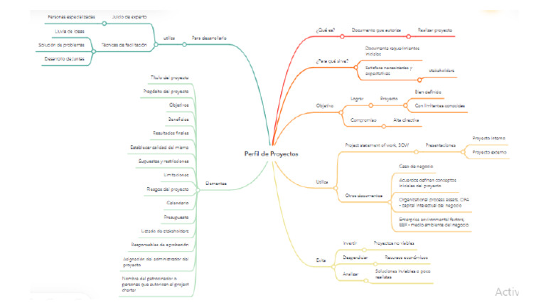 Tarea 1 - Mapa Mental Perfil de Proyectos | PDF