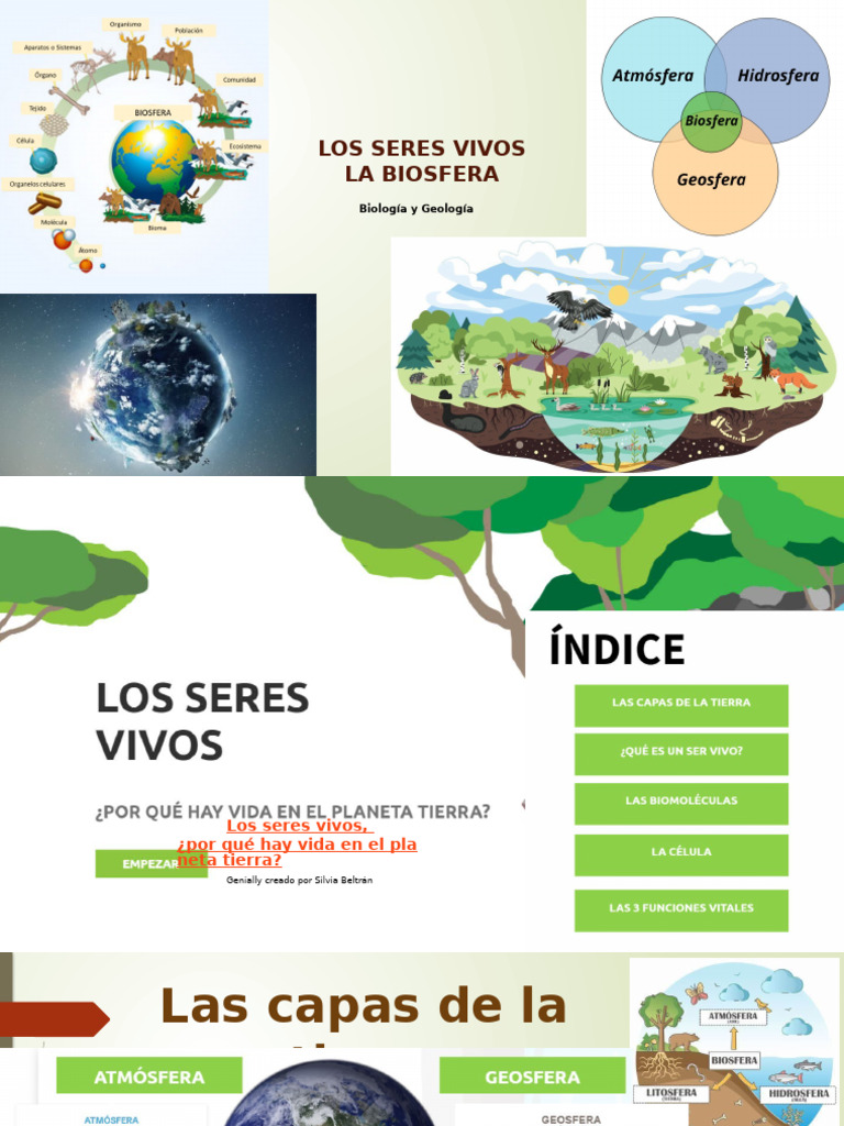 Funciones y Estructura de los Seres Vivos | PDF | Biología Celular ...