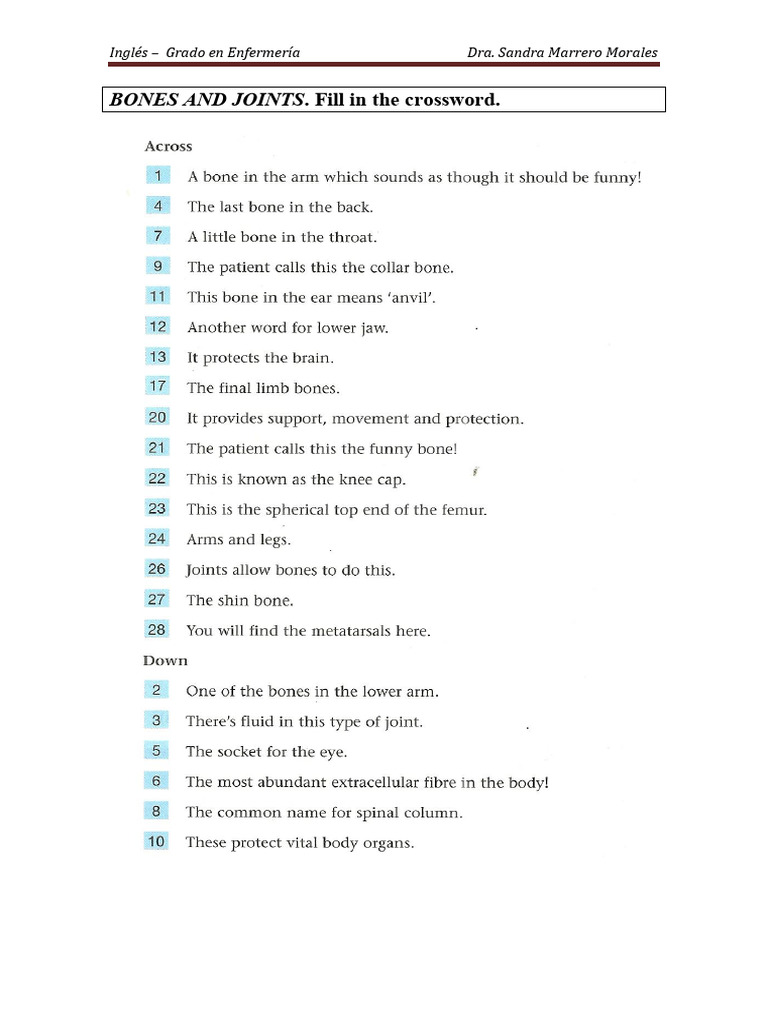 Bones and Joints | PDF