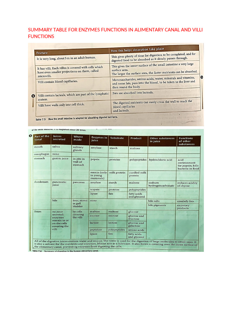 Summary Table For Enzymes Functions in Alimentary Canal and Villi ...