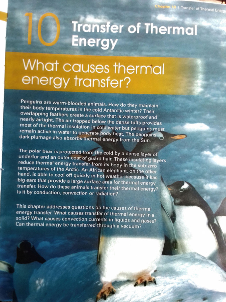 Physics Transfer of Thermal Energy | PDF