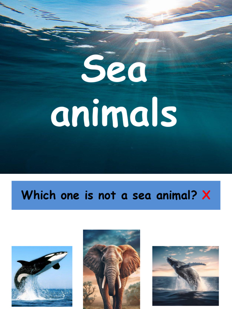 Sea Animals Identification Guide | PDF