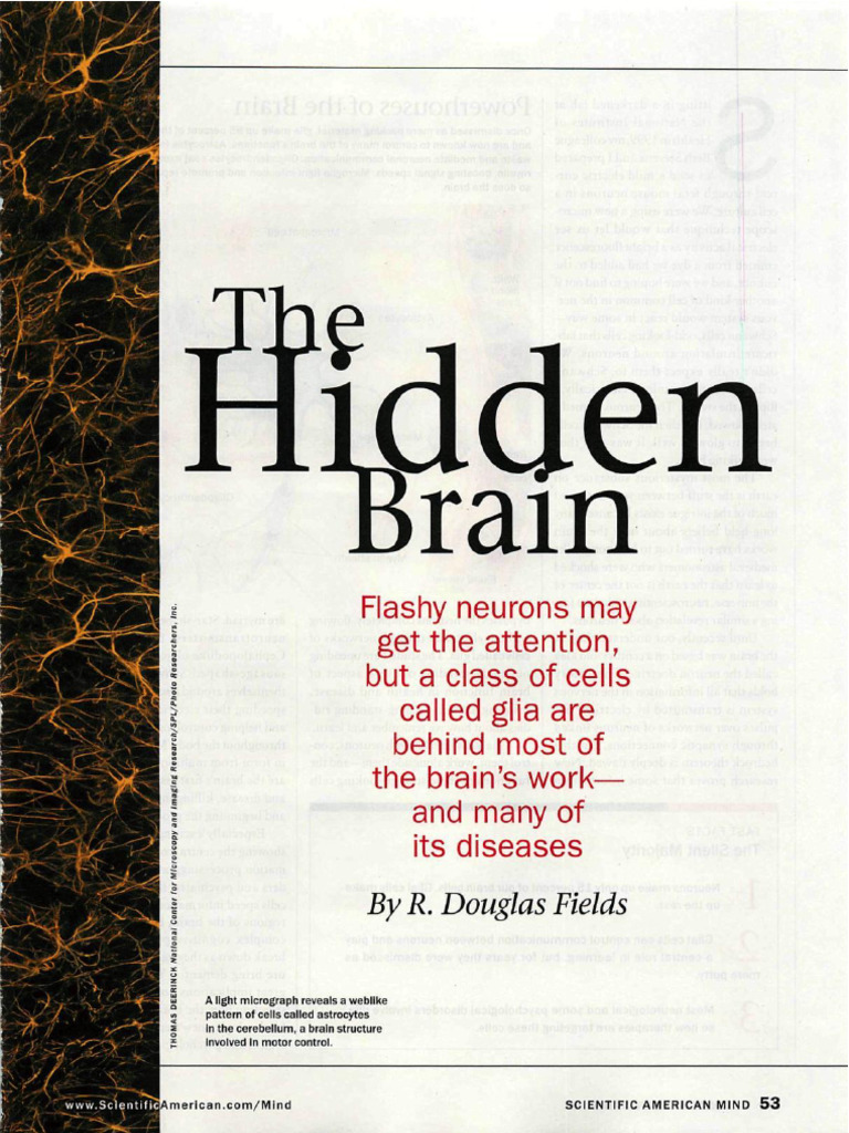 The+Hidden+Brain | PDF | Neuron | Synapse