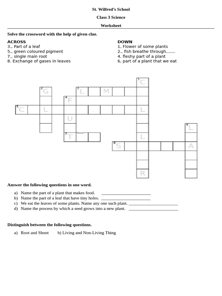 Worksheet Class 3 Science | PDF