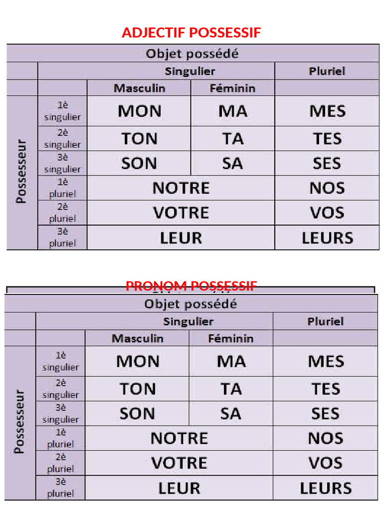 ADJECTIF POSSESSIF | PDF