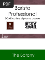 Starbucks Training Guide | PDF