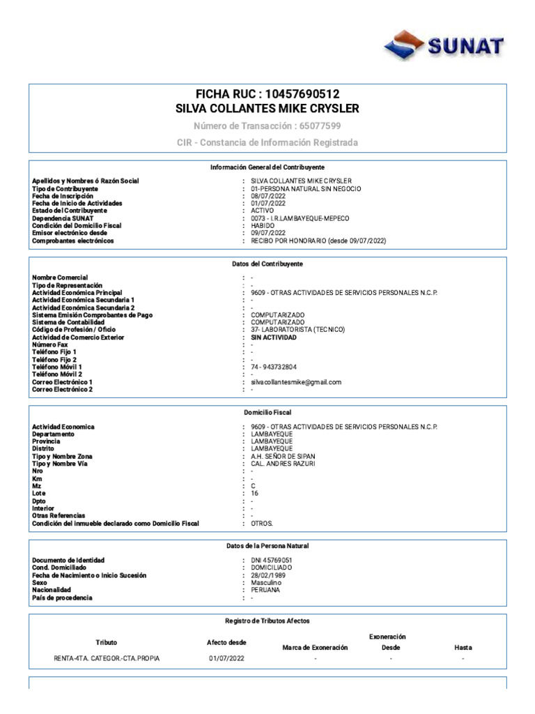 SUNAT - Menú SOLPDF - 250124 - 143312 | PDF