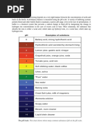Chloride Shift: Mechanism and Function | PDF