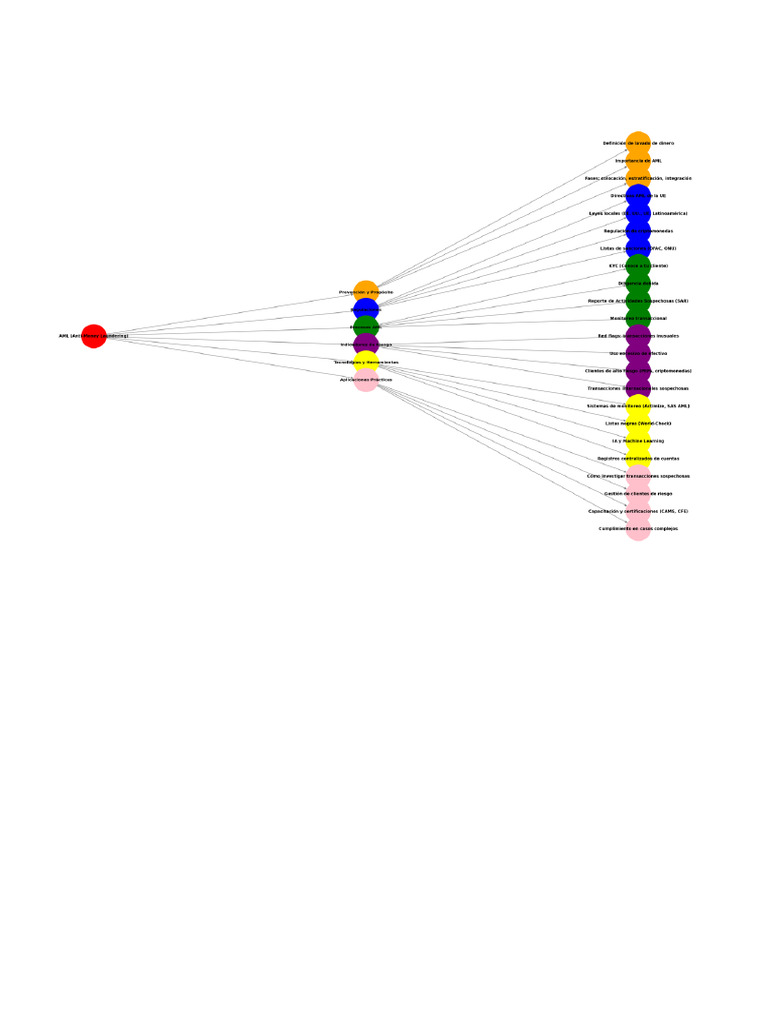 aml_mapa_y_resumen_final | PDF