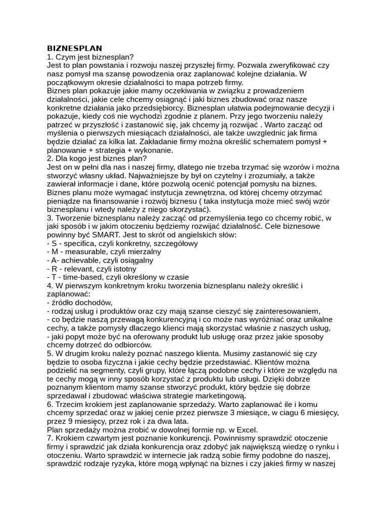 Biz Nes Plan | PDF