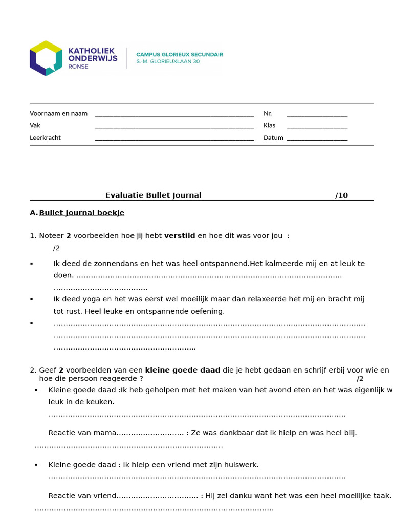 Evaluatie BulletJournalGlorieux | PDF