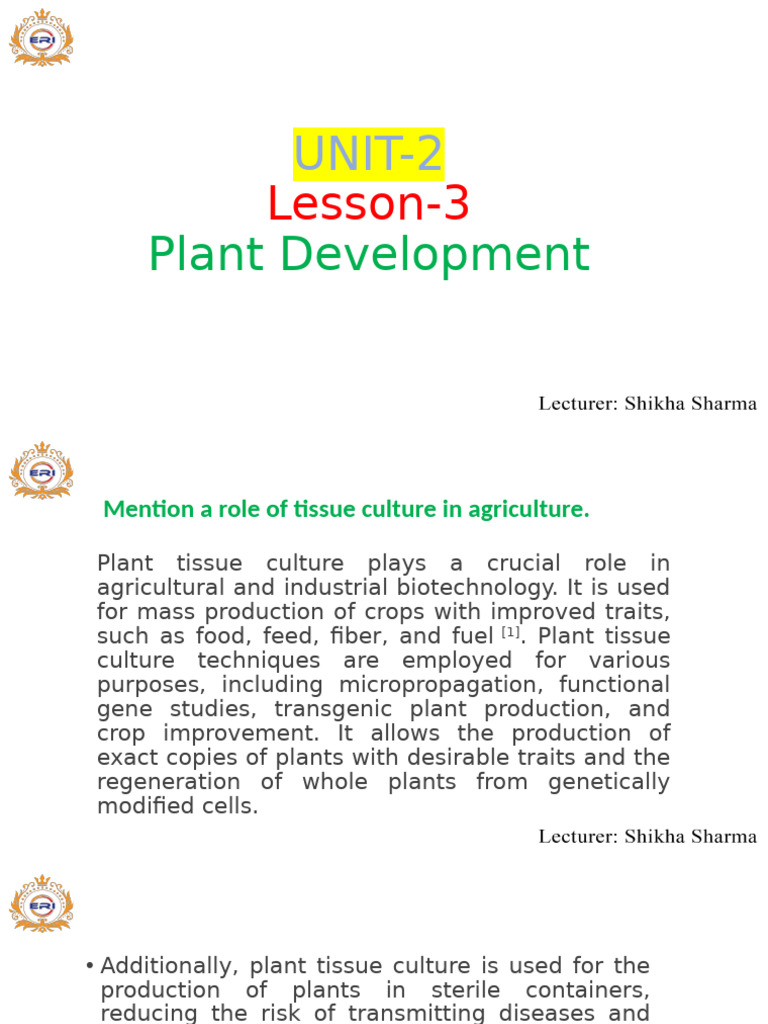 Sample ERI Presentation | PDF