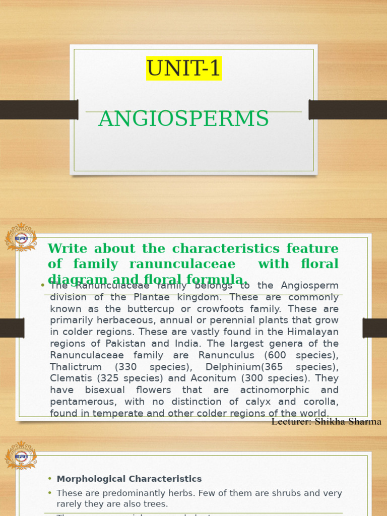 Sample ERI Presentation | PDF | Flowers | Petal