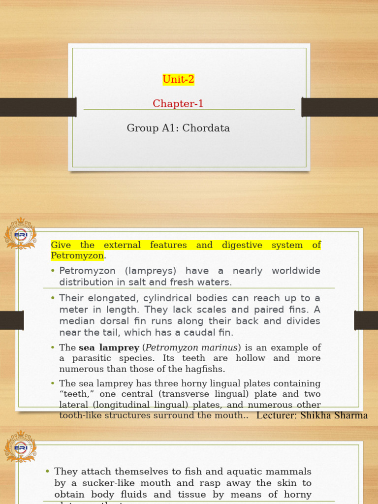 Chapter 1 Zoology (Chordata) | PDF | Amphibian | Zoology