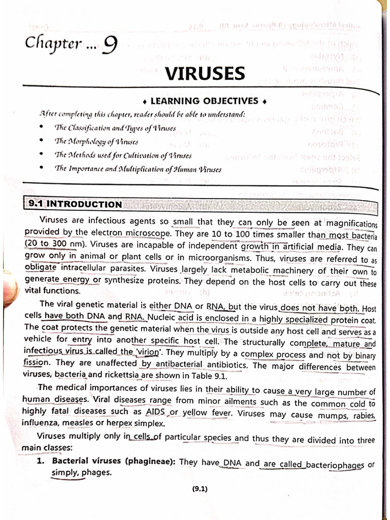 Viruses | PDF