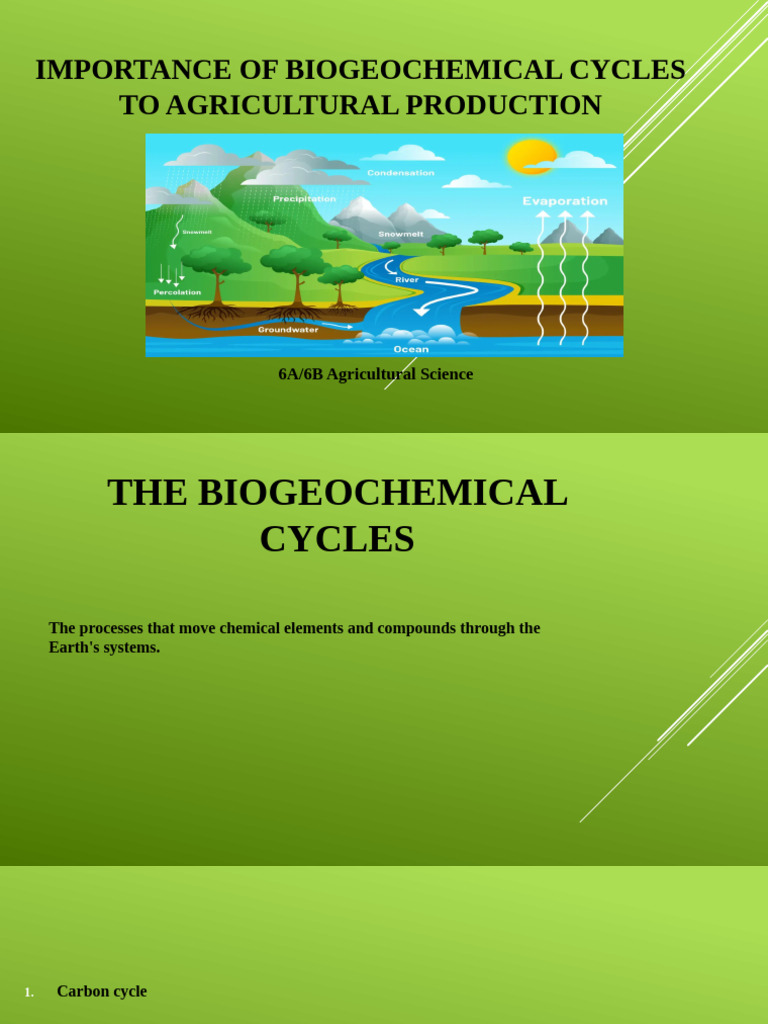 Importance of Biogeochemical Cycles To Agricultural Production | PDF ...