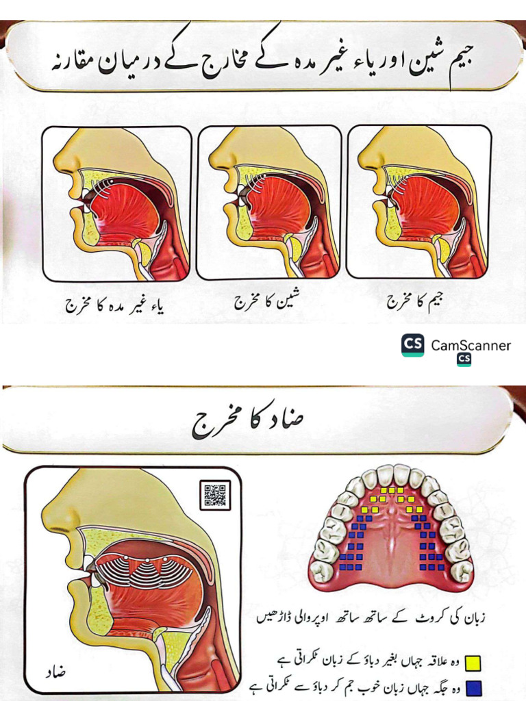 Tajweed Makharij 4 | PDF