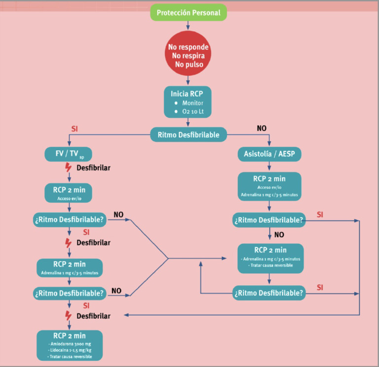 RCP | PDF