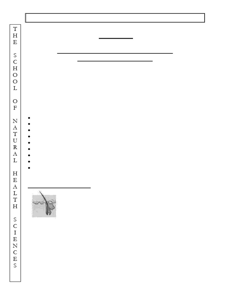 The Digestive System Interrelationship With Other Body Systems | PDF ...