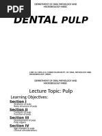 DIBELS 8th Edition Maze Benchmark | PDF