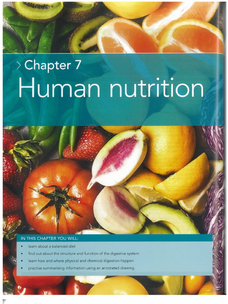 cha 7 human nutrition | PDF