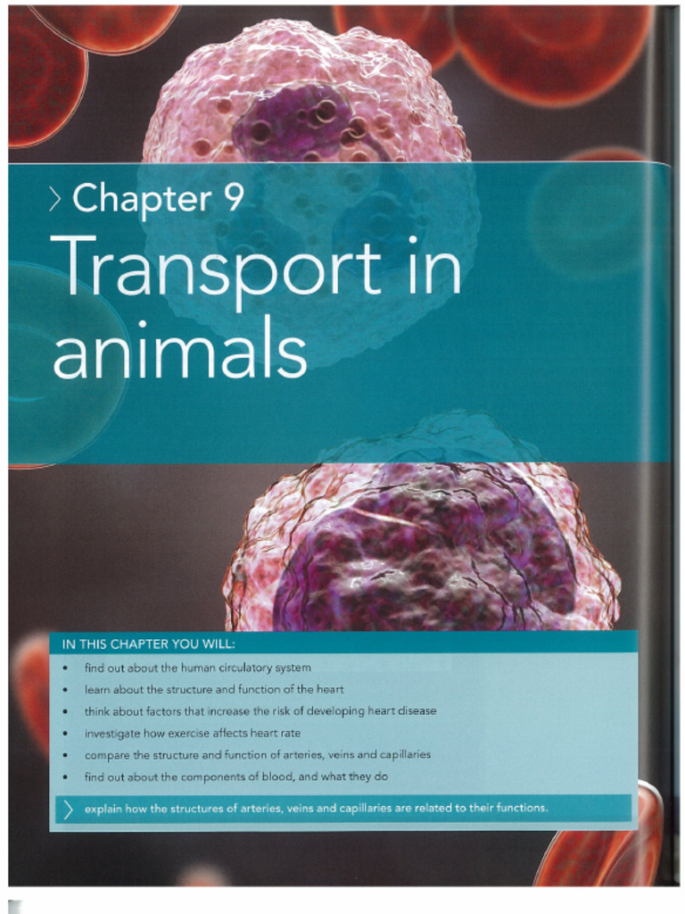 Cha 9 Transport in Animal | PDF