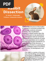 PiG Anatomy | PDF
