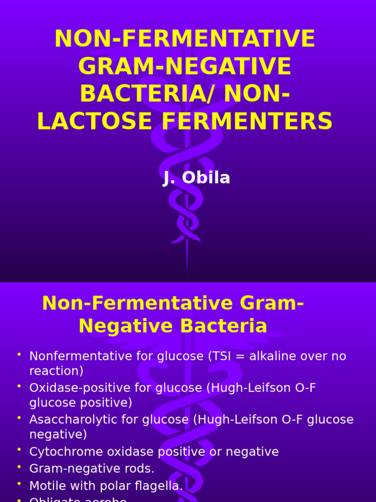 Non-Fermentative Gram-Negative | PDF | Pseudomonas Aeruginosa | Infection