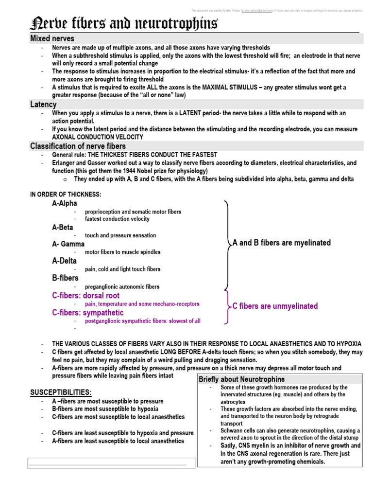 Nerve Fiber Classification and Neurotrophins | PDF | Axon | Nerve