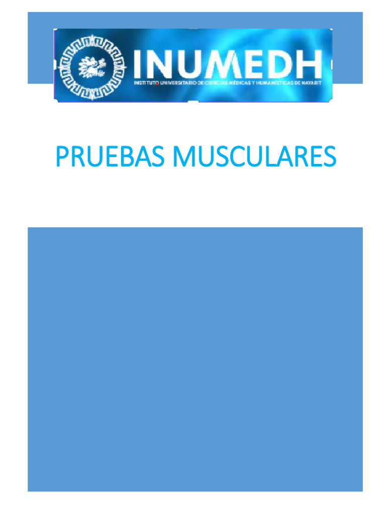 Pruebas Musculares en Rehabilitación del Tronco | PDF | Músculo ...