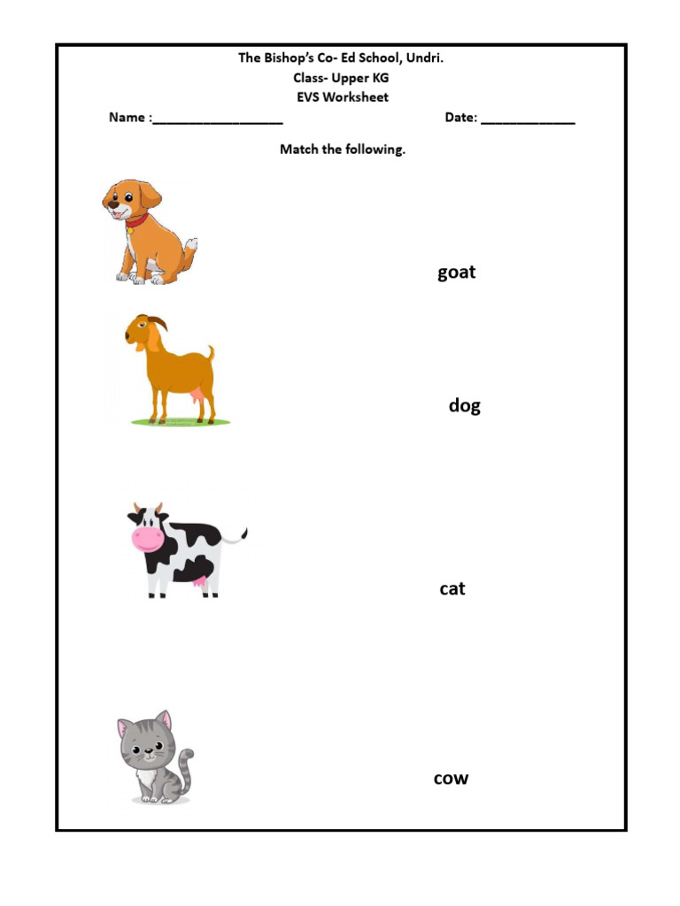 Tame Animals - Worksheet 1 | PDF
