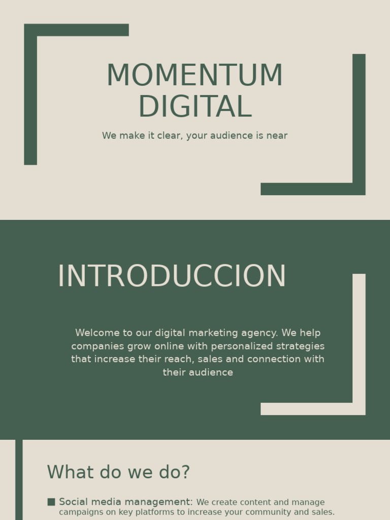 Momentum Digital | PDF