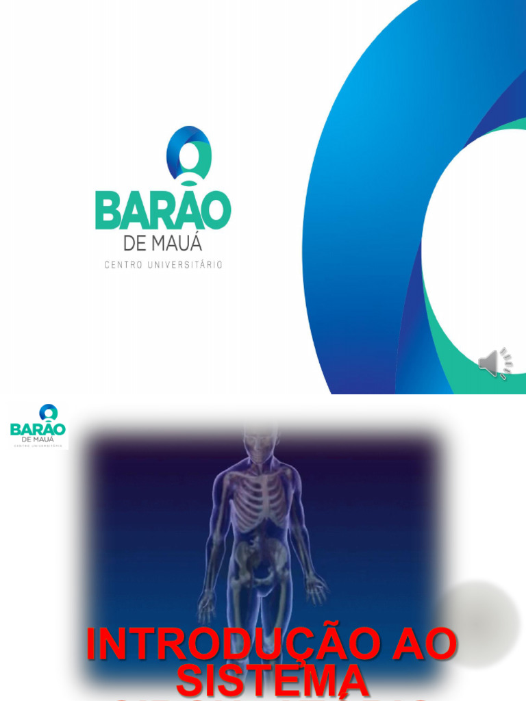 Introdução Ao Sistema Circulatório | PDF | Sistema circulatório | Veia