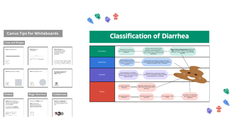 Classification of Diarrhea | PDF | Diarrhea | Gastrointestinal Tract
