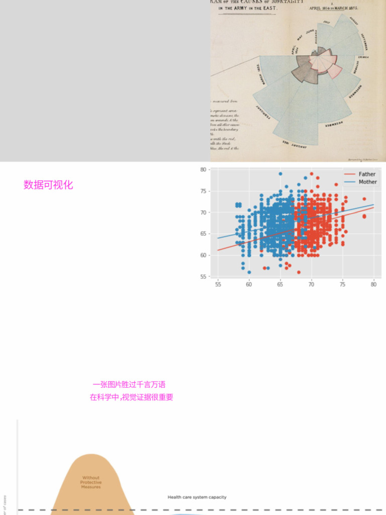 HPS391 - MAT391 - Data - Visualization 2024 | PDF