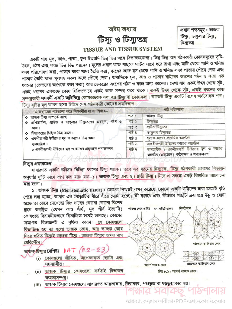 B-1.8 টিস্যু ও টিস্যুতন্ত্র DAGANO BOOK | PDF