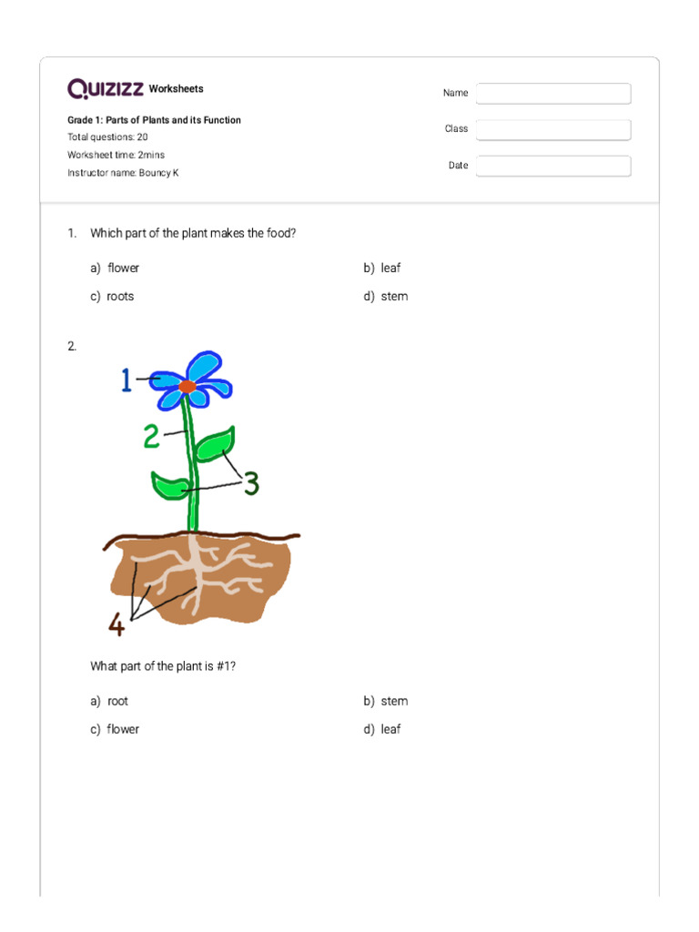 Grade 1 - Parts of Plants and Its Function - Quizizz | PDF | Plants | Root