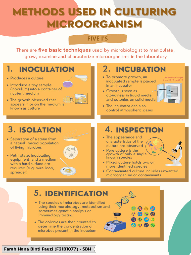 Microbiology Culture Techniques | PDF