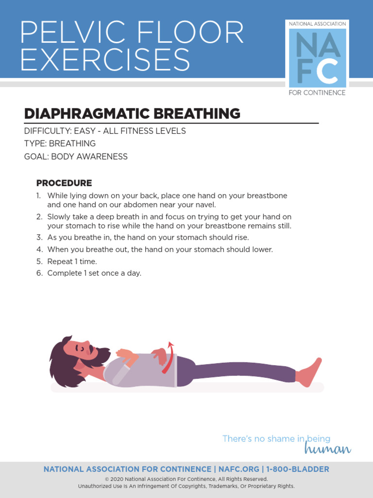 Pelvic Floor Exercises for Men | PDF | Abdomen | Urinary Incontinence